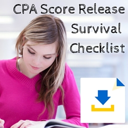 17 Proven CPA Exam Study Strategies While Working Full Time (2024)